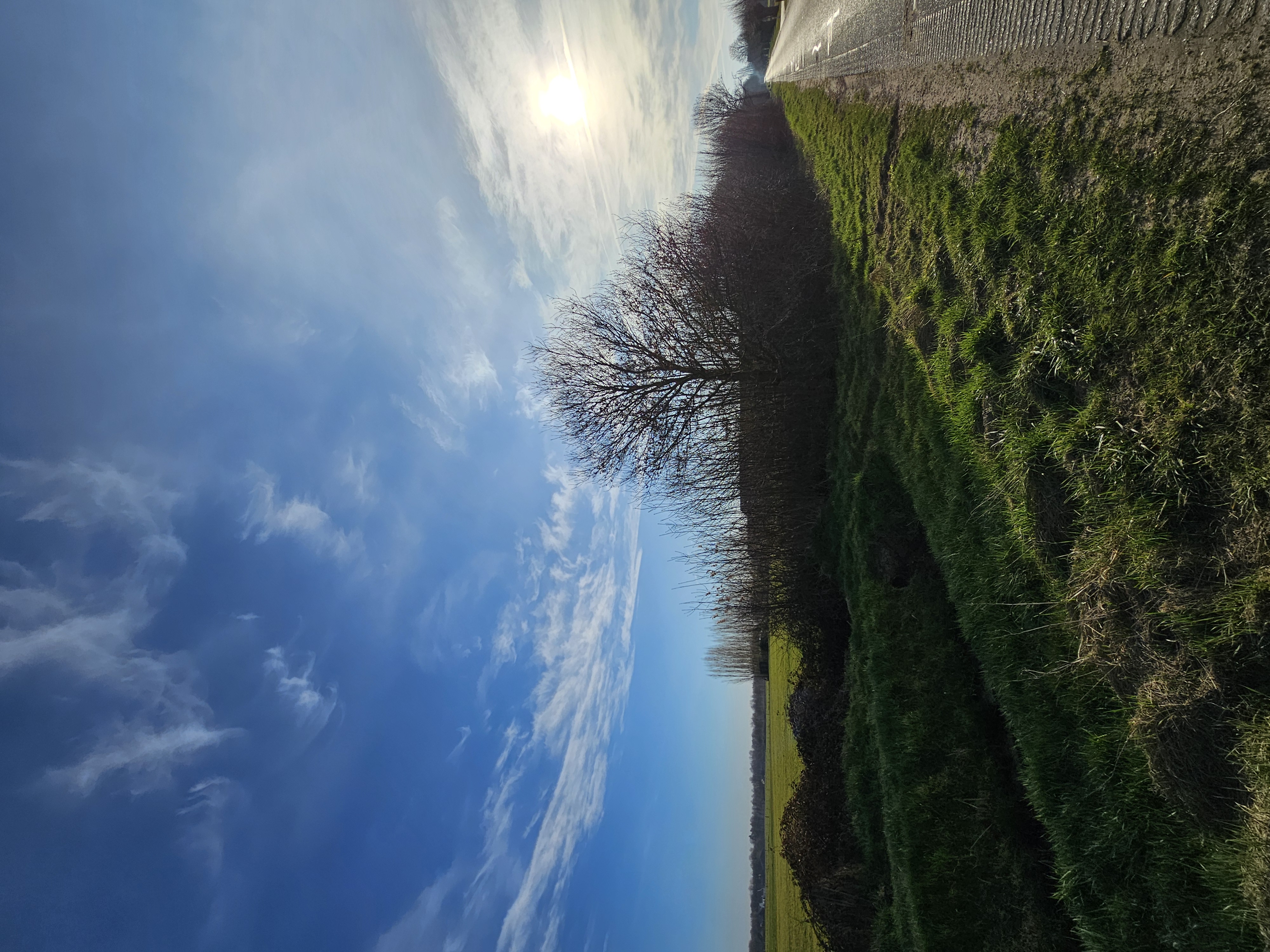 Percelen bos en natuurgrond te Didam