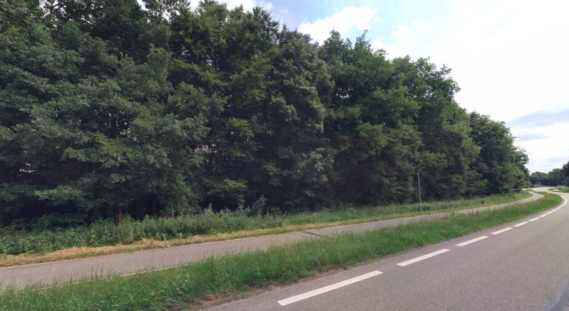 Perceel (bos)grond te Didam