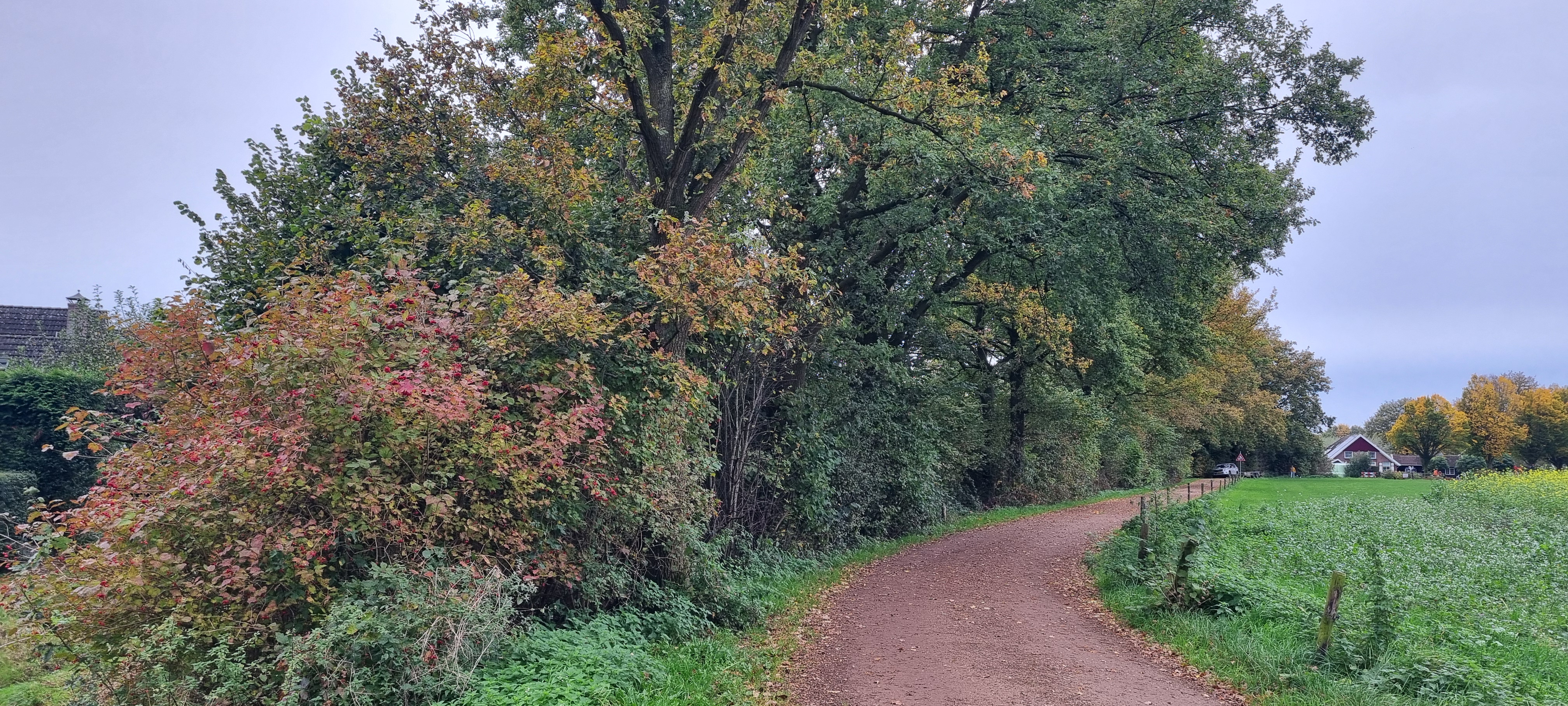Perceel bos en natuurgrond te Dinxperlo